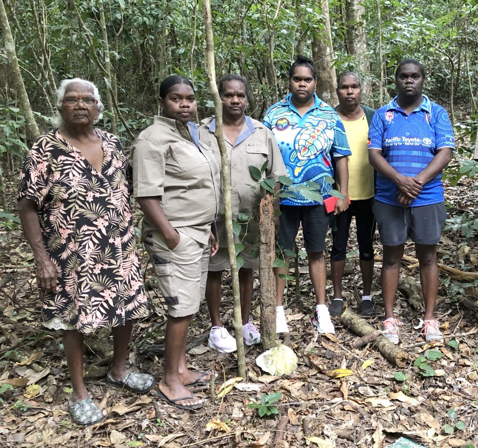 Work Program | Dabu Jajikal Aboriginal Corporation